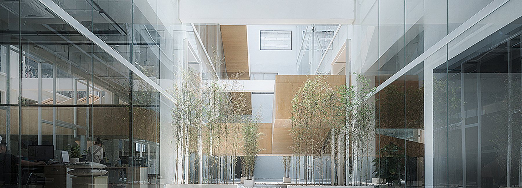 LYCS architects convert textile warehouse into dave & bella's headquarters