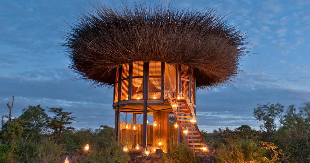 bird nest hotel room lets safari guests sleep above the trees
