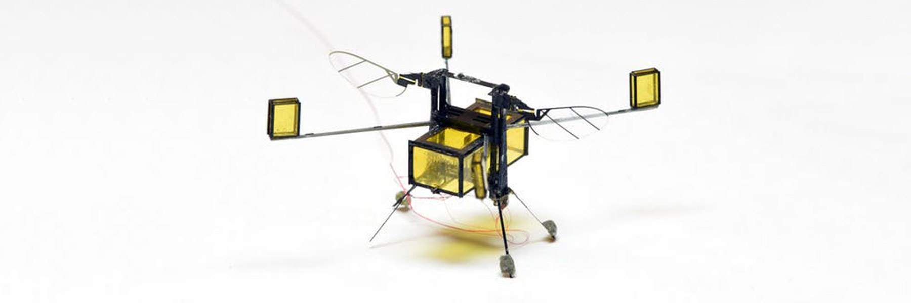 harvard's robobee has two wing-flapping speeds in air and out of water