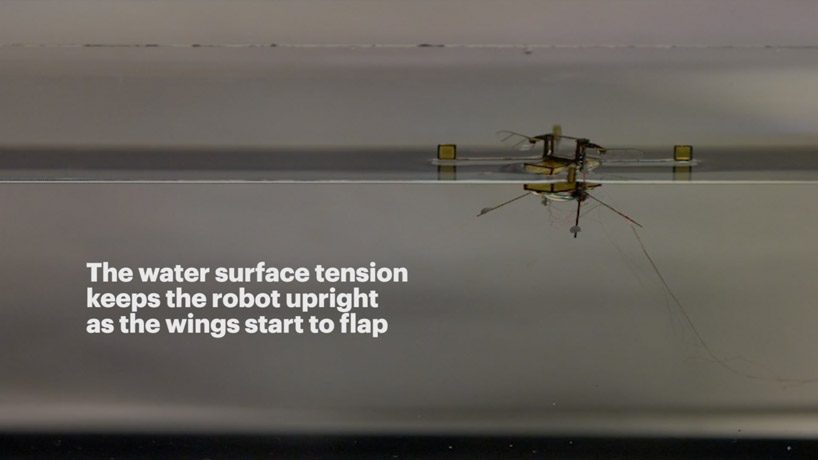 harvard's robobee has two wing-flapping speeds in air and out of water