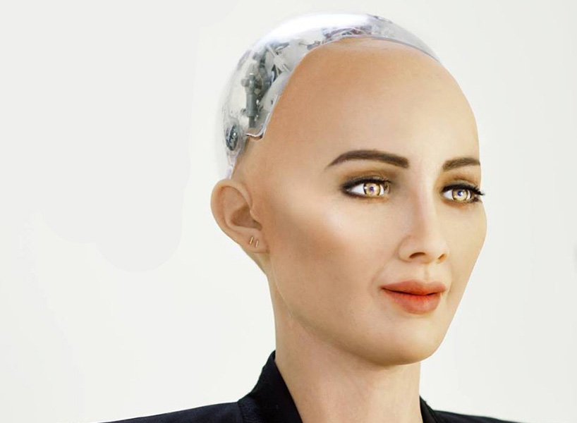 the robot — named ‘sophia’ — was delegated as a speaker at the future ...