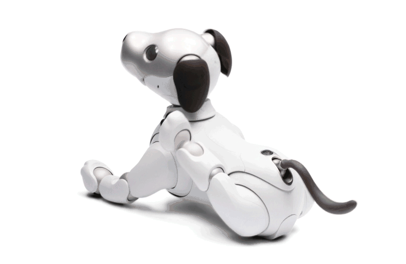 sony revives aibo the robot dog, a puppy bot with a perpetually-changing personality