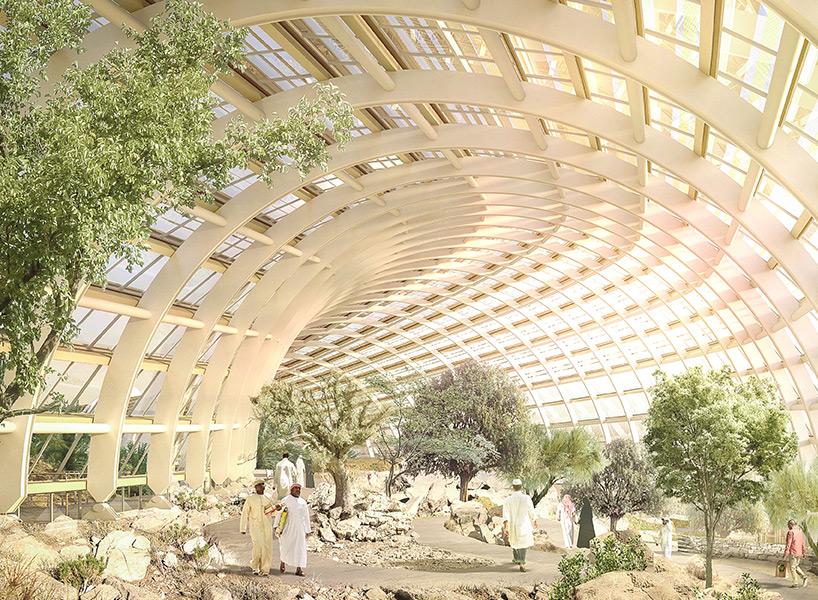 oman botanic garden will be the world's largest ecological oasis oman ...