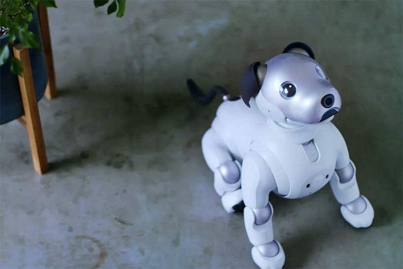 sony revives aibo the robot dog, a puppy bot with a perpetually ...
