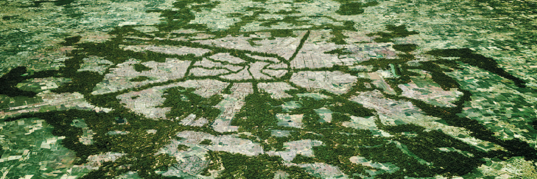 european capital of forestry could be milan if it doubles the number of ...