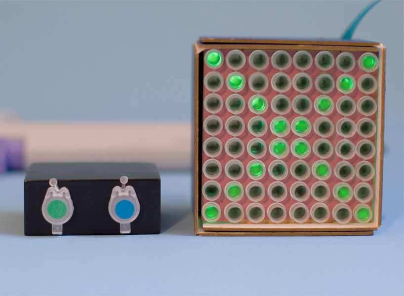 play tetris with biological pixels made from jellyfish DNA