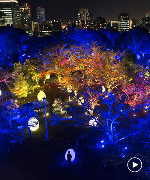 teamlab transforms fukuoka castle ruins into immersive light festival ...