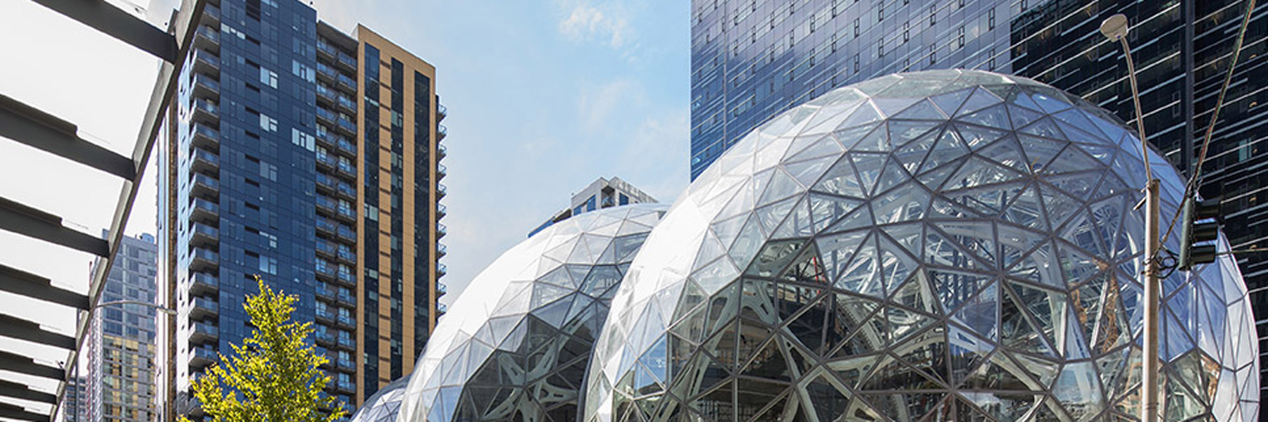 amazon spheres, the mini rainforest campus in seattle by NBBJ