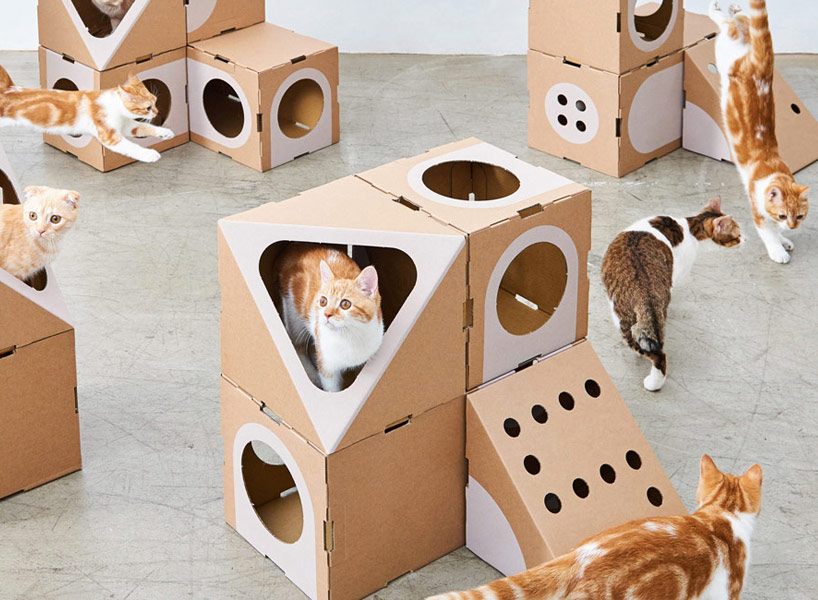 in the future, 'a cat thing' aims to redefine the products we use with ...