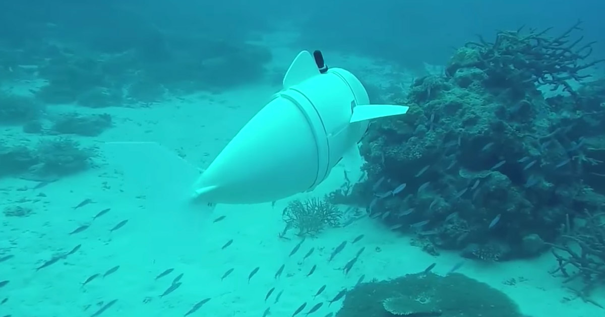 MIT researcher's robotic fish is an impressively realistic spy on ...