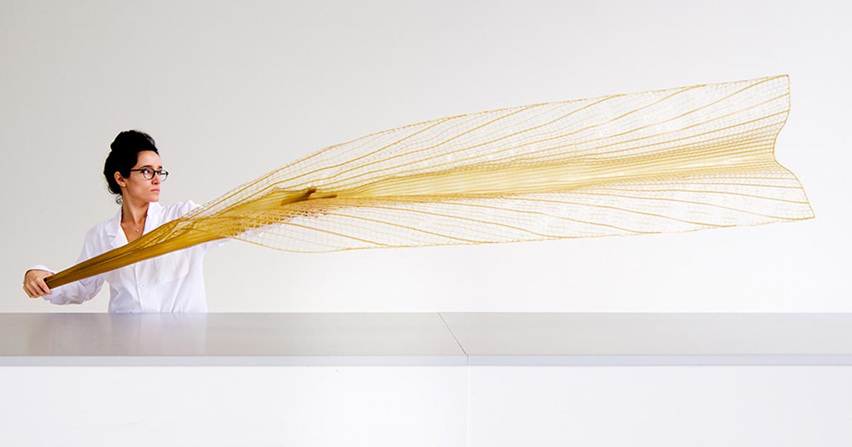 neri oxman and MIT develop digitally produced water-based renewable ...