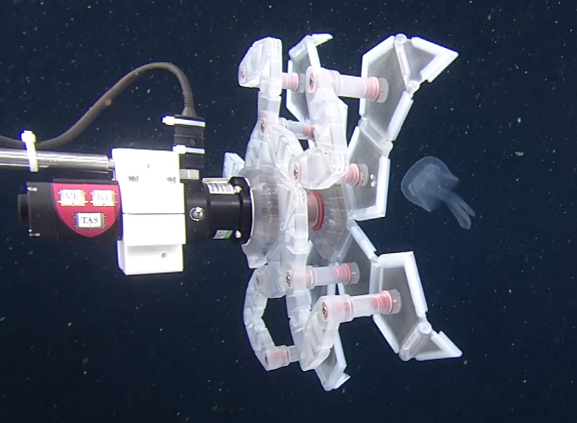 the 12-sided contraption known as the rotary actuated dodecahedron (RAD ...