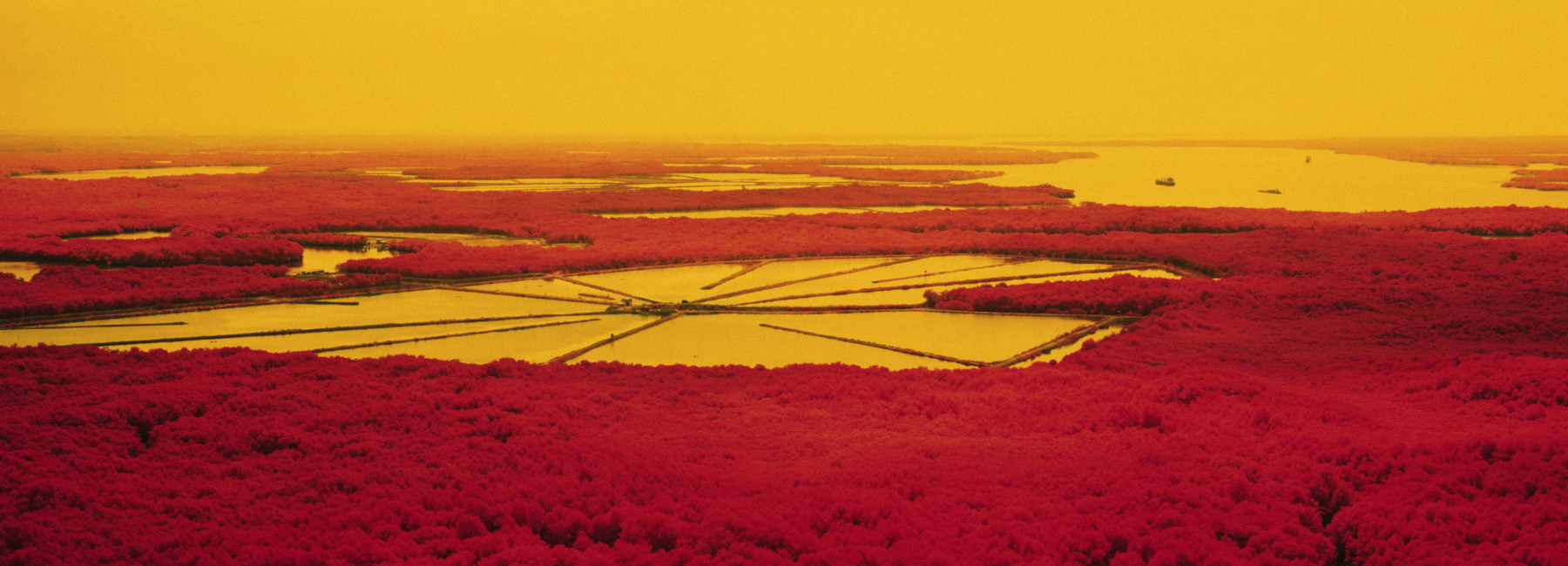 infrared photography by vicente muñoz captures urbanization vs. nature