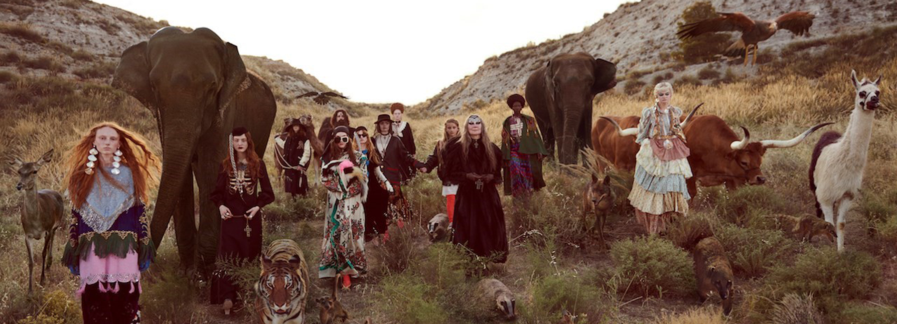gucci recreates noah's ark in latest campaign 'gucci gothic'