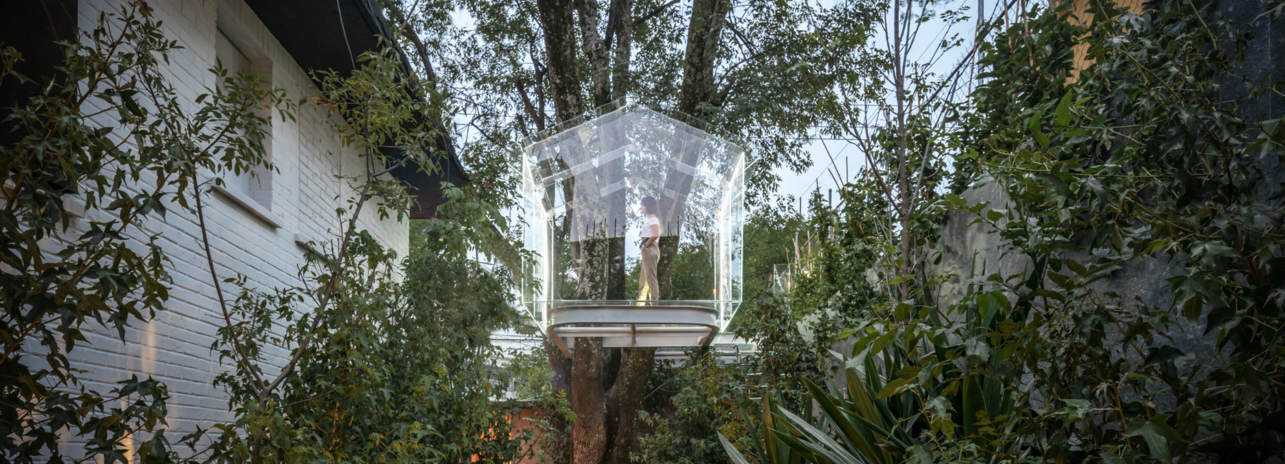 gerardo broissin builds a transparent glass treehouse in mexico city