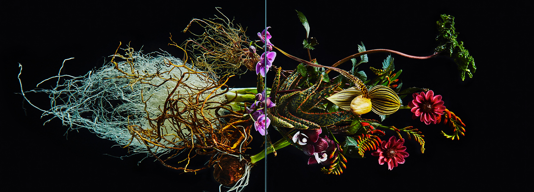 azuma makoto | flower art installations, news and projects