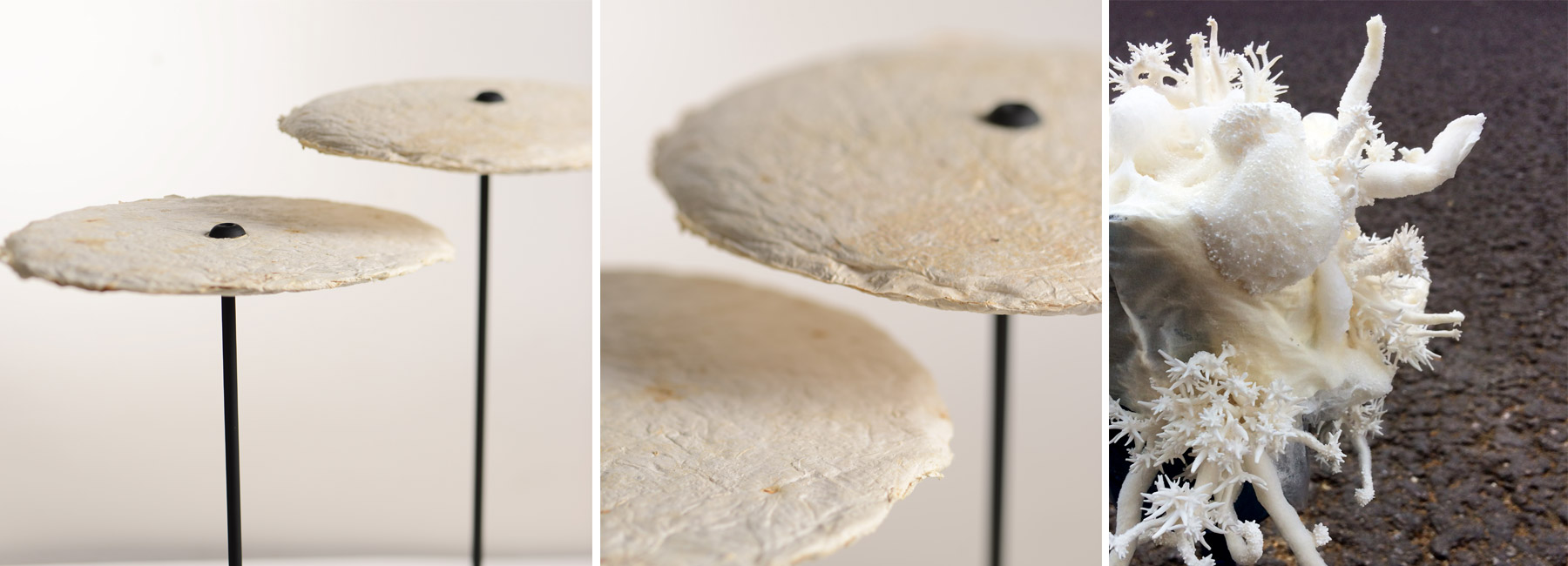 nir meiri shapes fungi into mycelium lights lamp collection