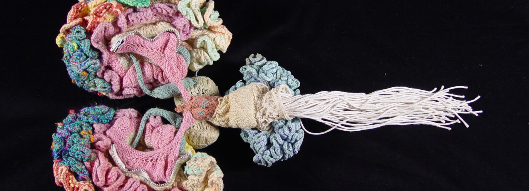 psychiatrist knits anatomically correct model of the human brain