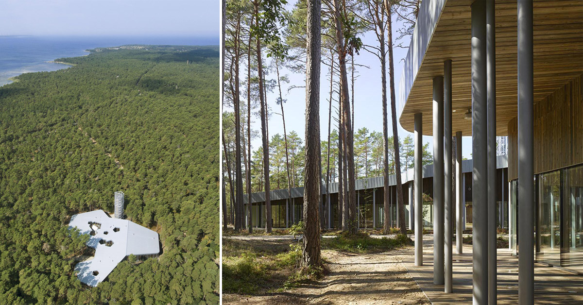 nieto sobejano nestles arvo pärt centre in a dense estonian forest of ...