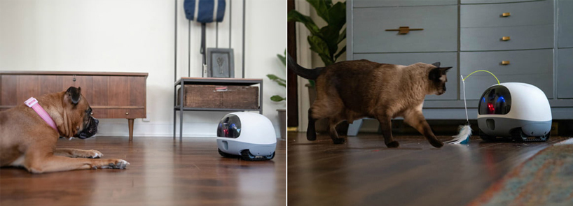 the VAVA pet robot keeps your animals company whilst you're away