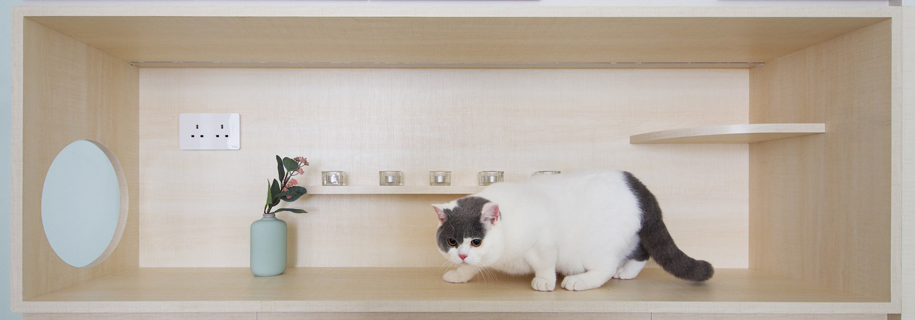 sim-plex creates 'pets playground' apartment for couple with cats