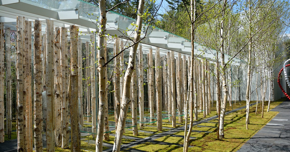 kengo kuma combines tree trunks + glass for birch moss chapel in japan