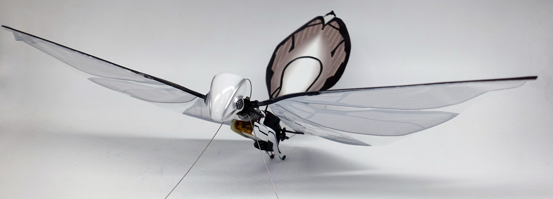 the metafly robotic insect uses biomimetics to mimic the real thing