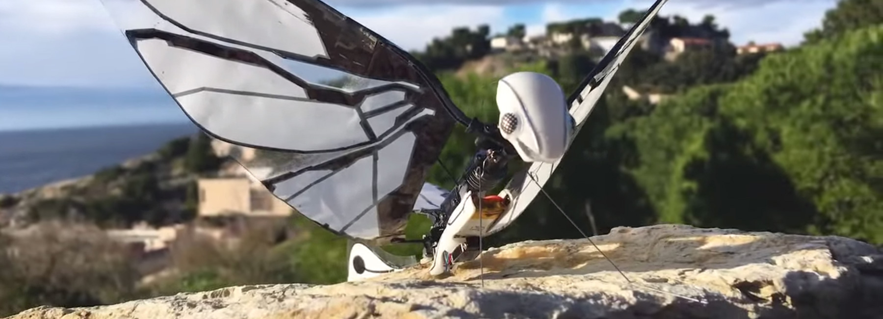 the metafly robotic insect uses biomimetics to mimic the real thing