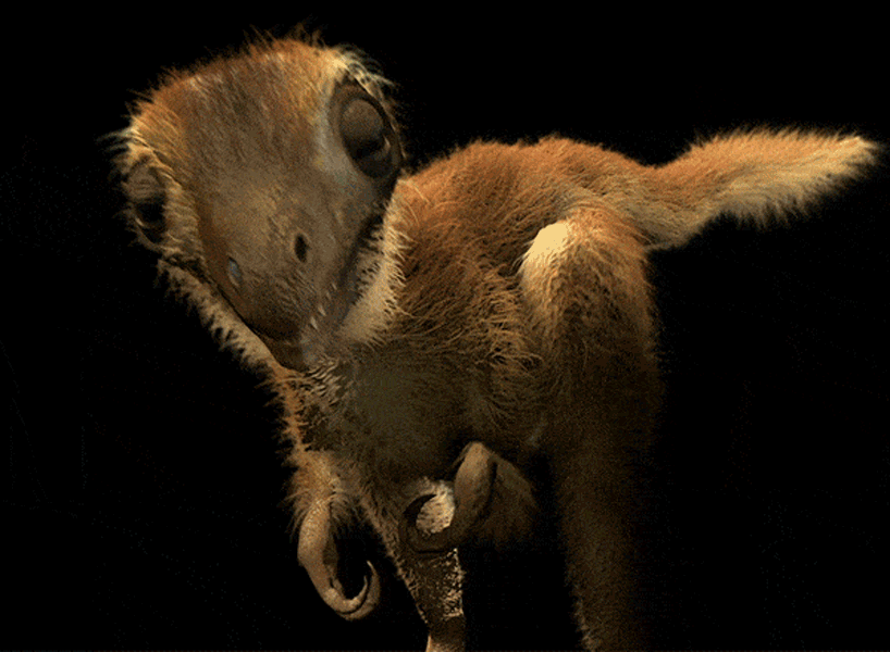 on march 11, 2019, the american museum of natural history invites you ...