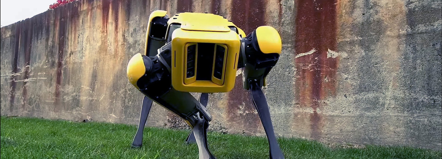 boston dynamics employs a pack of robot dogs to tow this huge truck