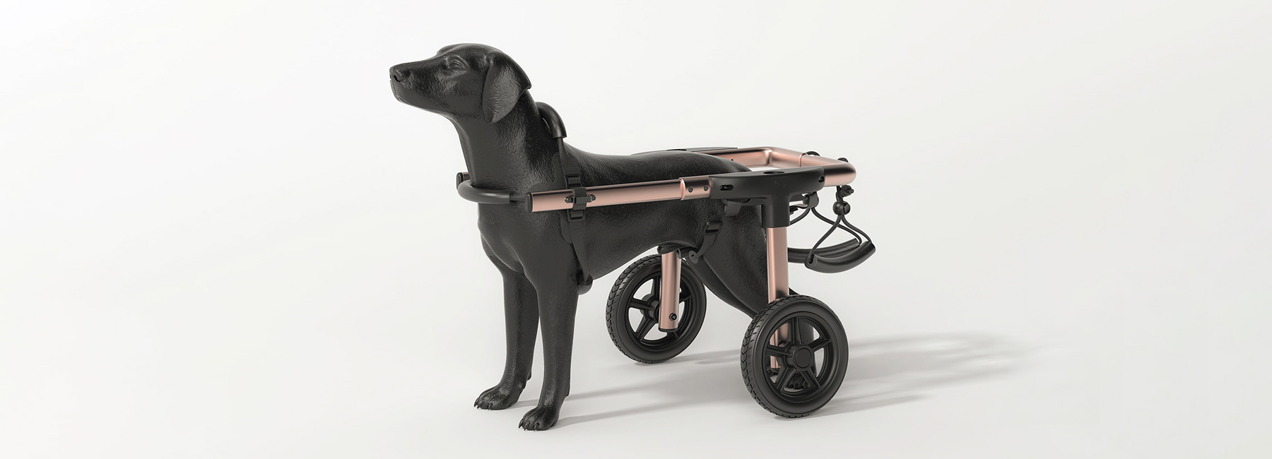 dog art and design | designboom.com