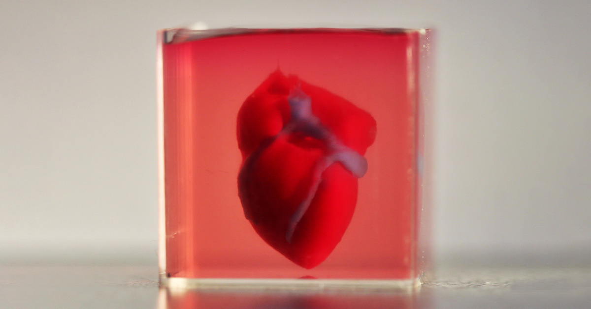 scientists make world's first 3D printed heart using human cells