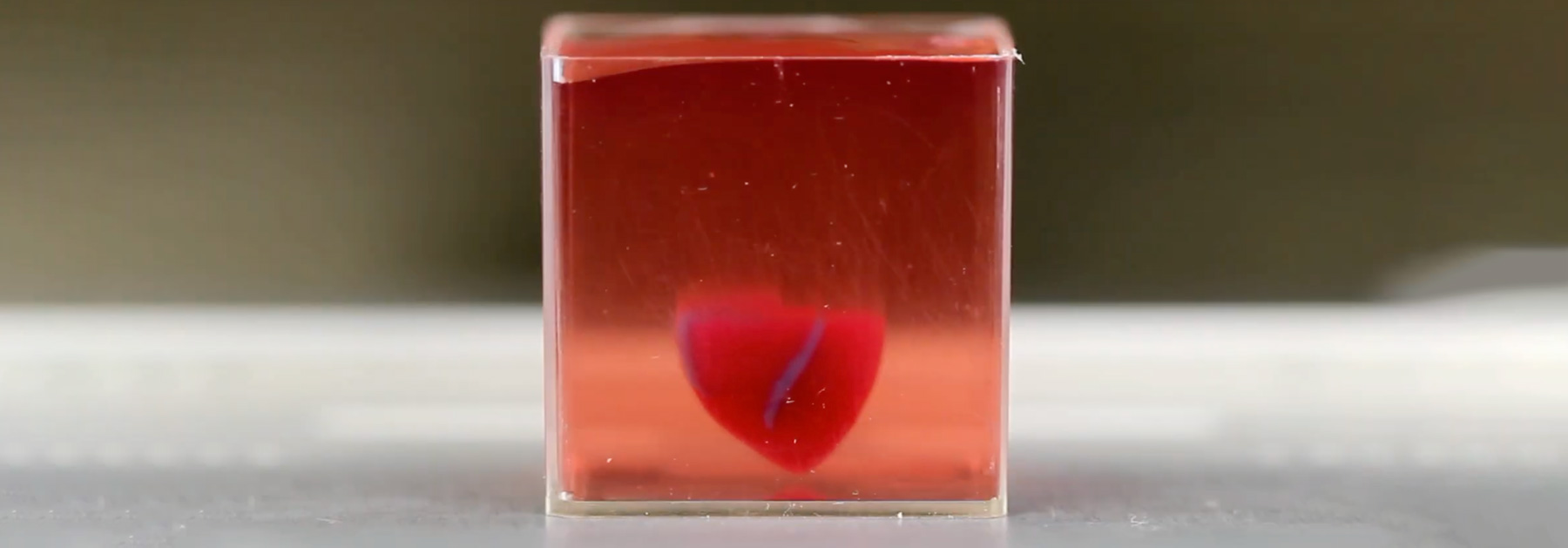 scientists make world's first 3D printed heart using human cells