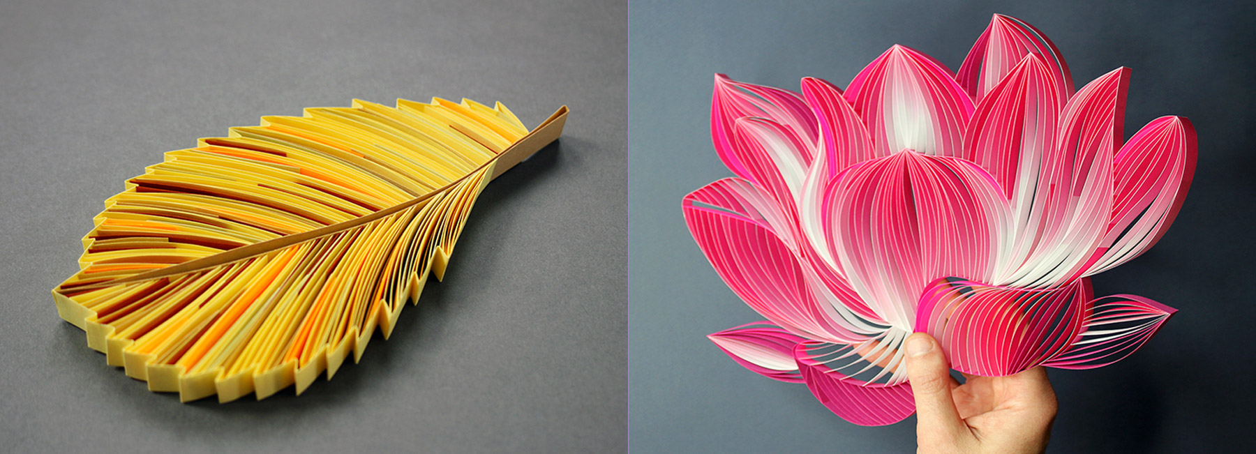 JUDiTH + ROLFE's paper quilled floral artworks capture the diversity in ...