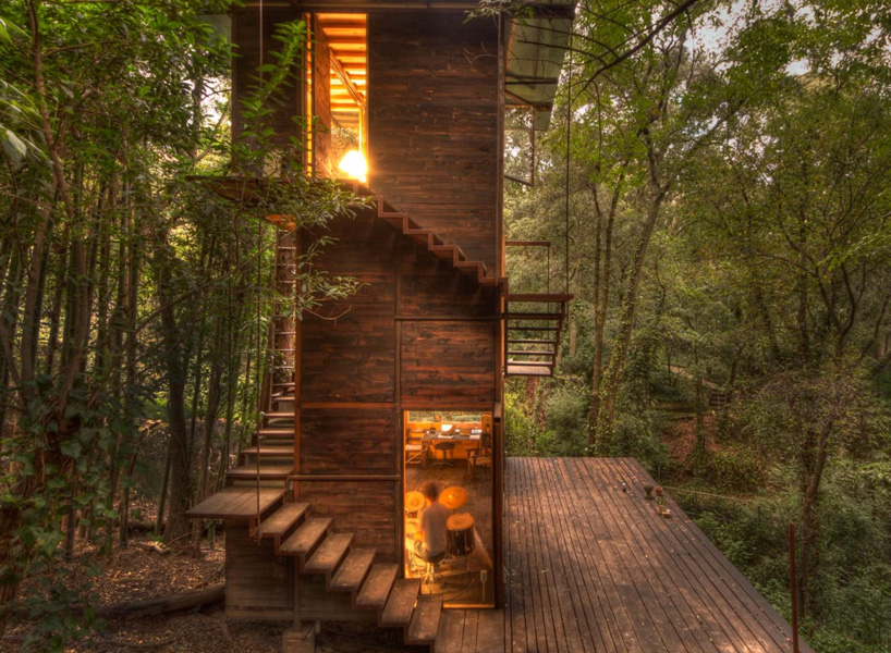 suspended treehouse by talleresque illuminates the surrounding forest ...
