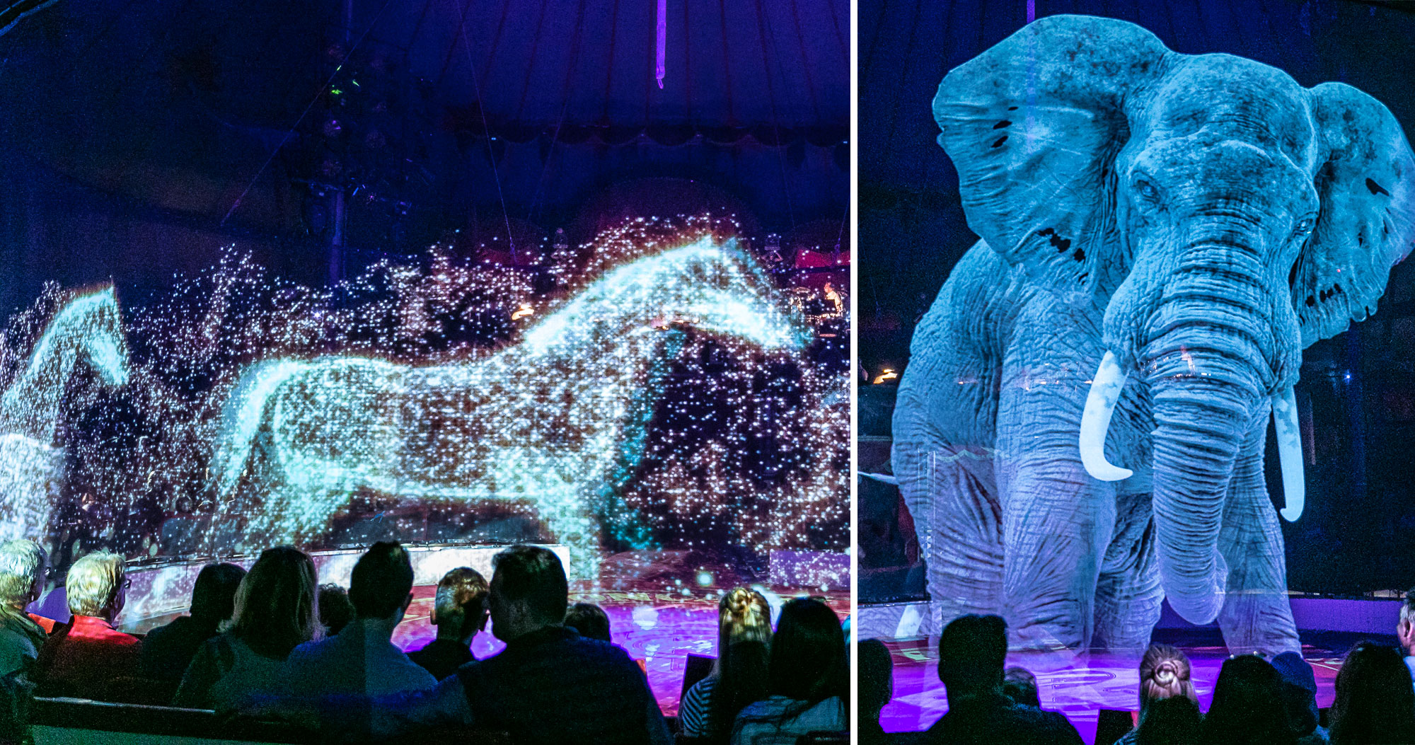 could this animal-free holographic experience be the circus of the future?
