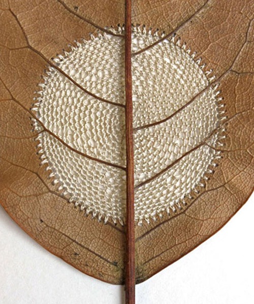 susanna bauer crochets leaves into delicate sculptures