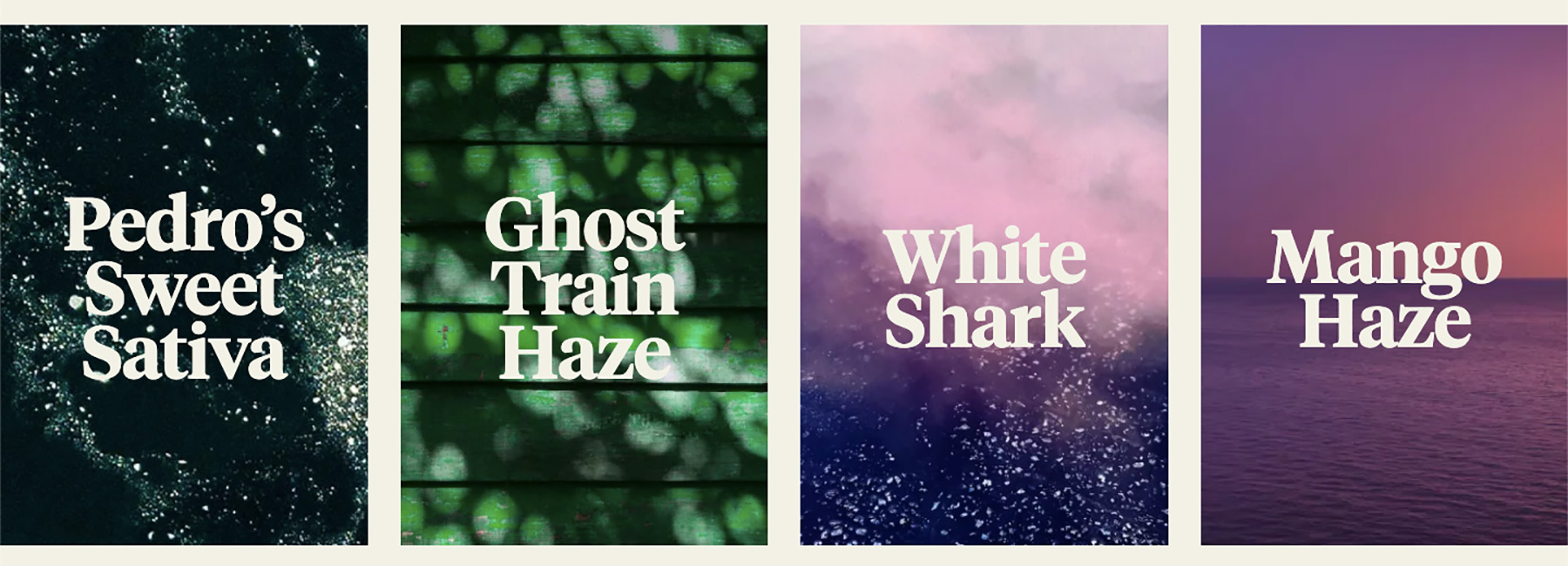 color cannabis conjures memories to modernize society's monochromatic ...