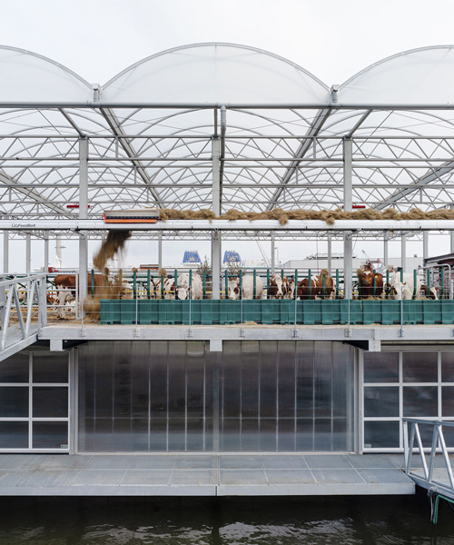 goldsmith floating farm produces, processes + distributes dairy in ...