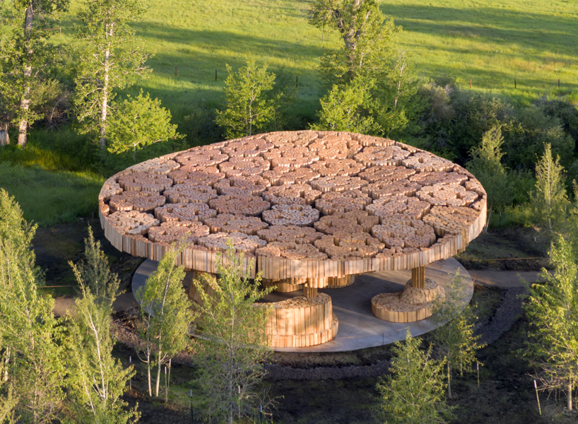 visitors may gather within 'xylem' to converse or contemplate the views ...