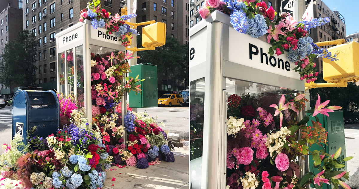 a bountiful bouquet emerges from this new york city phone booth