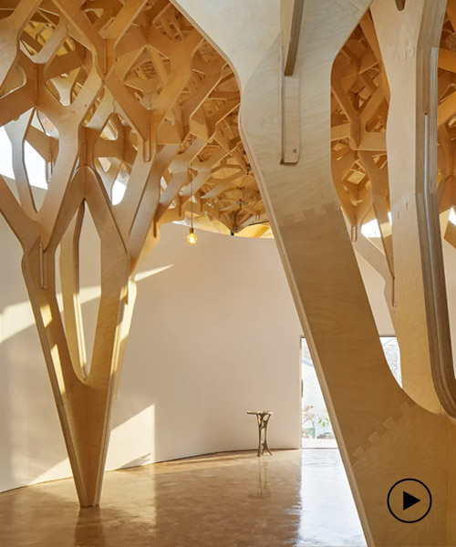 JK-AR builds the house of three trees in south korea