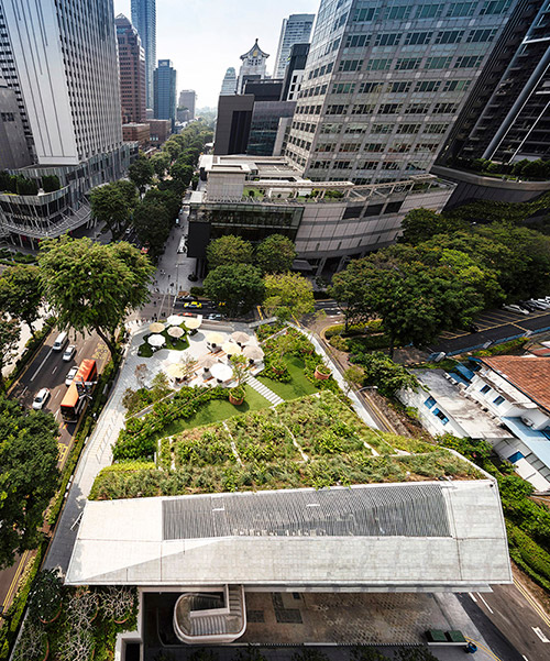 WOHA tops singapore's design orchard with a luscious green rooftop