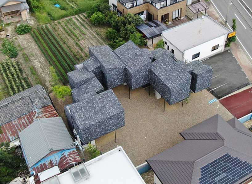 the volumes stand on columns, whose diameters imitate a trunk that ...