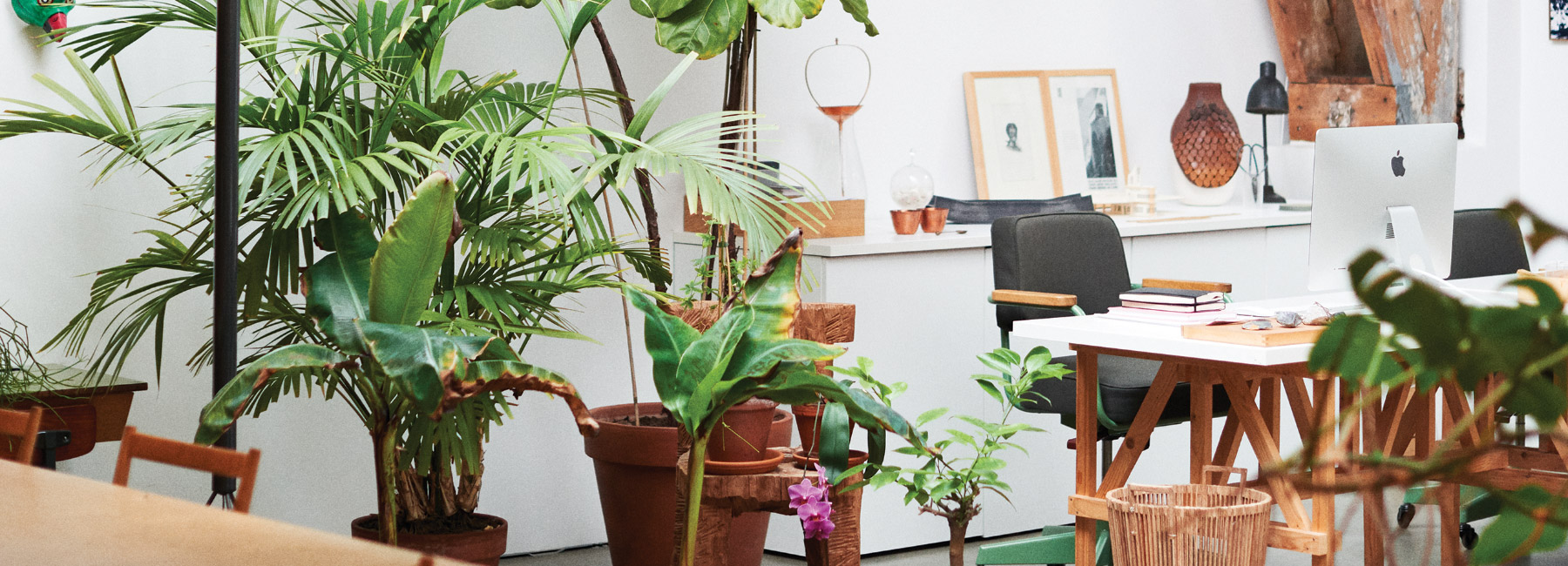 formafantasma | art and design interviews, news, and projects