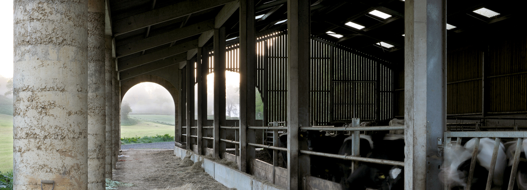 stephen taylor architects' shatwell farm expresses arched colonnades