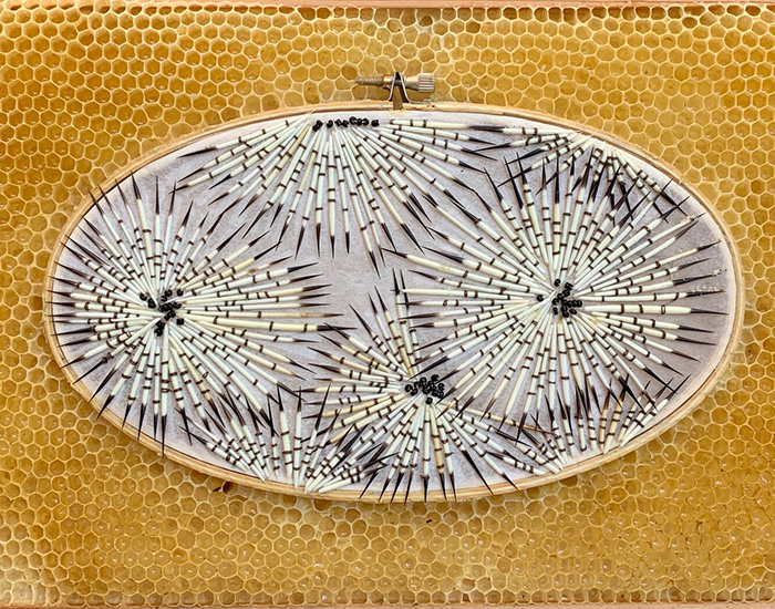 ava roth’s honeycomb collection brings together two seemingly ...