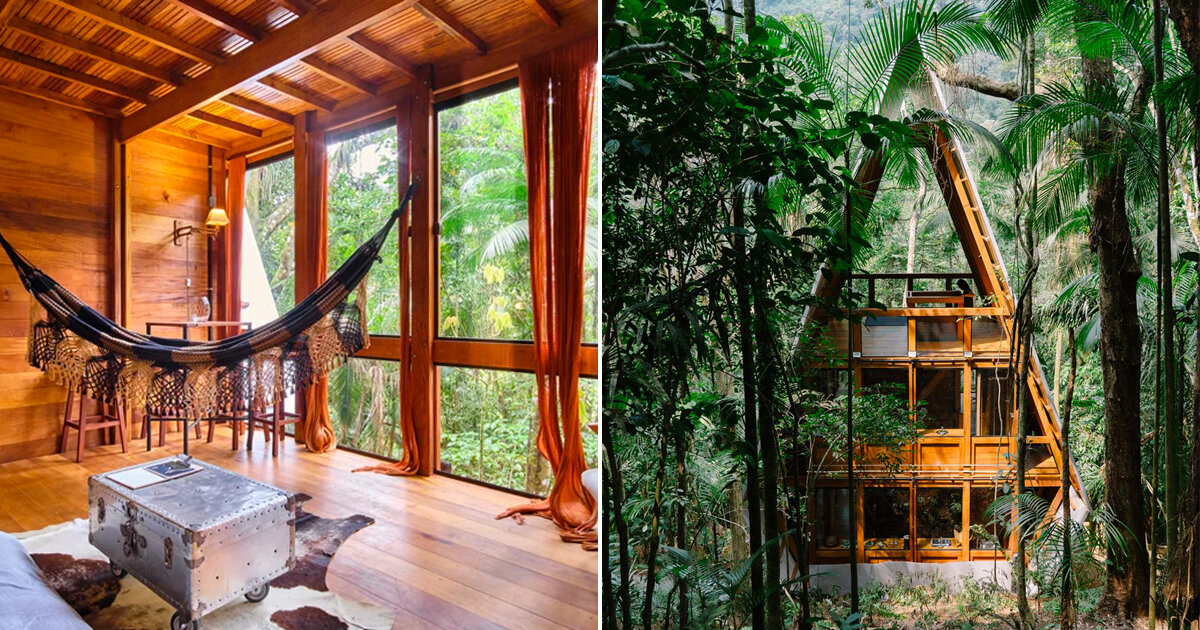 marko brajovic completes forest-inspired 'monkey house' in paraty, brazil