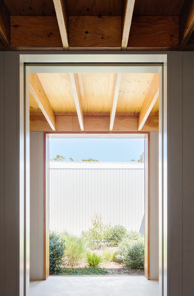 tribe studio's bundeena house reinvents prefabricated australian 'kit-home'