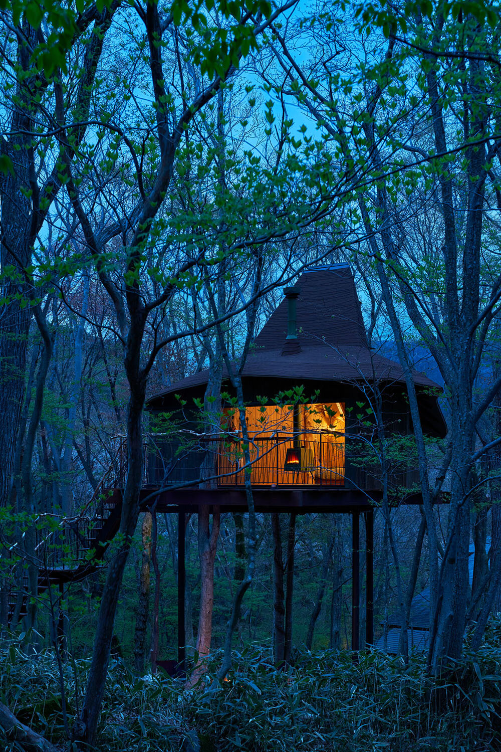 hiroshi nakamura & NAP architects builds treehouse in japan